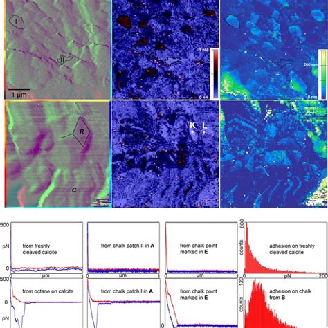 A Single Afm Force Distance Curve From The Data Matrix Used To Create Download Scientific