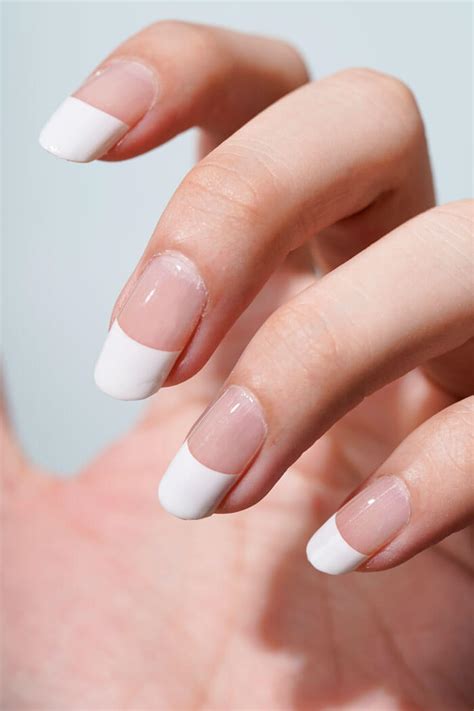 Classic French Shtolida