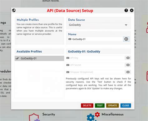 Domain Name Management Software Solutions Domainpunchcom