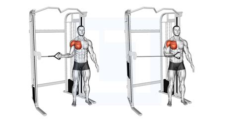 Cable Shoulder Internal Rotation Guide Benefits And Form