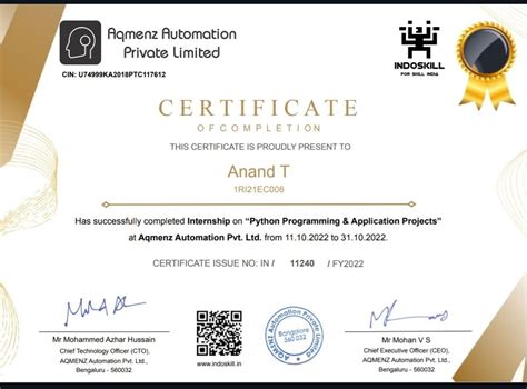 Anand T On Linkedin I Have Completed Internship On Python Programming