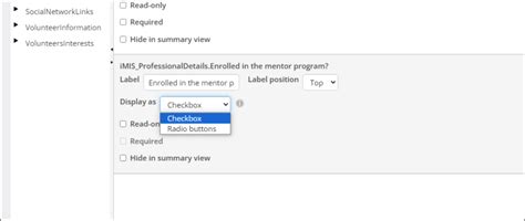 Creating A Checkbox Yesno Option For A Panel
