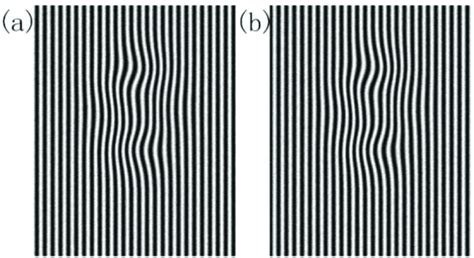 The Intercepted Deformation Pattern After Pixel Matching A Deformed Download Scientific