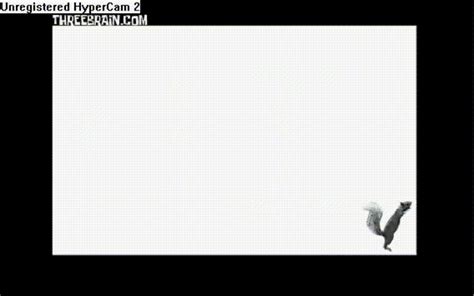 Weeeeeeeee Album On Imgur