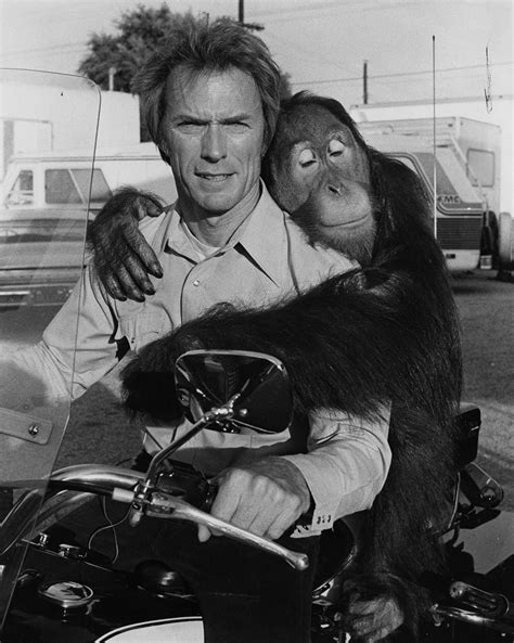 Manis The Orangutan Imdb