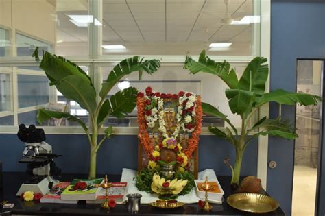 Sciencelabs Experiments Biotechnology Equipment Microbiology