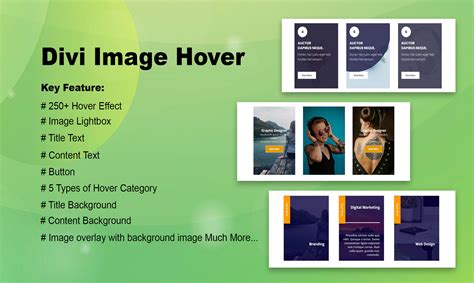 divi image hover effects plugin 250 advanced subtle divi hover effects