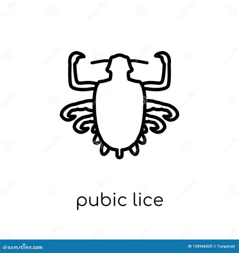Pubic Lice Icon Trendy Modern Flat Linear Vector Pubic Lice Icon On White Background From Thin
