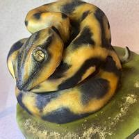 Python Decorated Cake By Andrea Cakesdecor