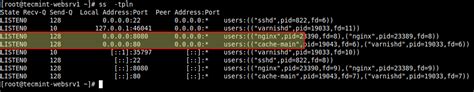 How To Install Varnish Cache For Nginx On Centos Rhel