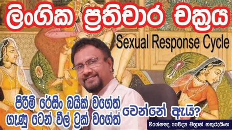 ලිංගික ප්‍රතිචාර චක්‍රය Youtube