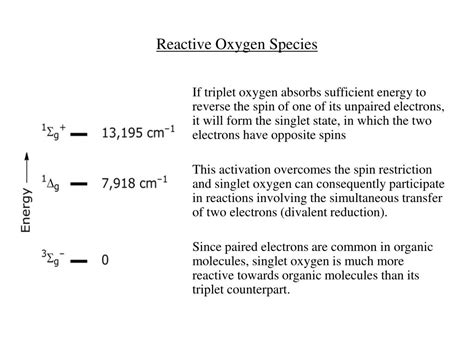 PPT Oxygen Radicals And Reactive Oxygen Species PowerPoint Presentation ID