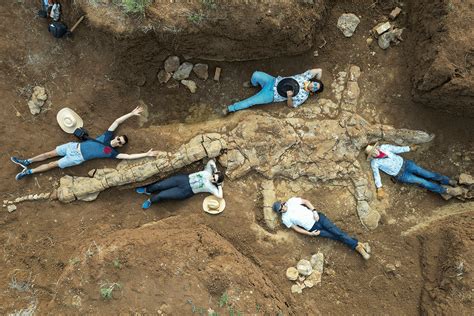 Like The Rosetta Stone Rare Fossil Unearthed In Outback Queensland