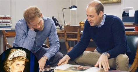 윌리엄·해리 다이애나 빈 20주기 다큐 출연 어머니와 마지막 통화 서둘러 끊은 게 후회