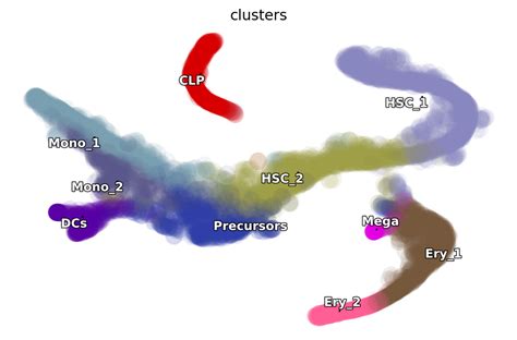 Dynamo Without Unspliced Spliced Matrix Dynamo Release