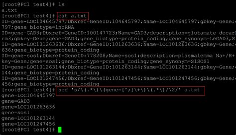 Linux Sed