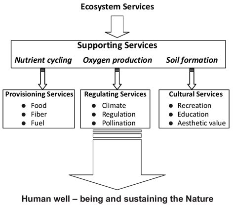 Classification Of Ecosystem Services From The Millennium Ecosystem Download Scientific Diagram
