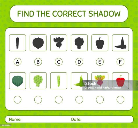 야채와 올바른 그림자 게임을 찾을 수 있습니다 유치원 어린이용 워크시트 어린이 활동 시트 0명에 대한 스톡 벡터 아트 및 기타 이미지 Istock