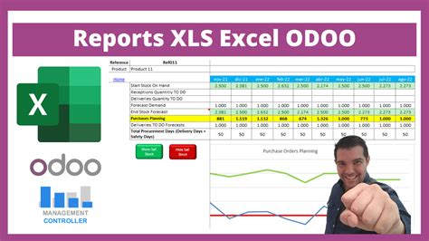 Reports Xlsx Excel Odoo