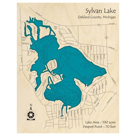 Sylvan Lake Michigan 3d Custom Wood Map Lake Art Llc