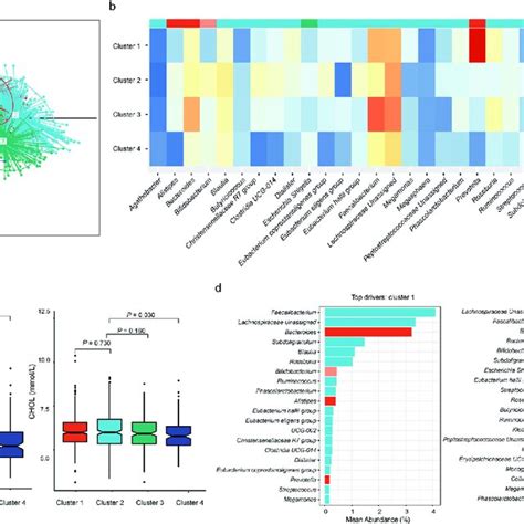 The Entire Dataset Formed Four Distinct Clusters Based On The Lowest