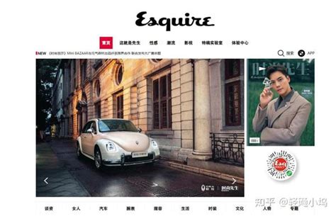 高质量服装穿搭网站 零基础小白首选 知乎