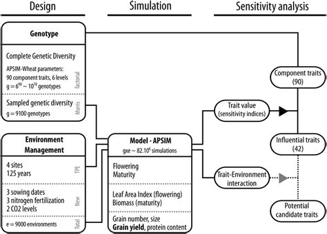 Framework Of Crop Model Simulation And The Sensitivity Approach Used To Download Scientific