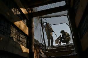 На уничтоженных в Курской области военных ВСУ нашли нацистскую символику Газета Ru Новости