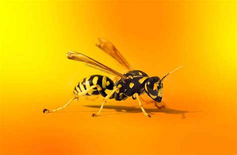 Vulnerabilidade Crítica Na Biblioteca Apache Log4j