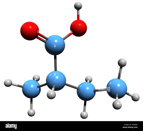 3d Image Of Methyl Ethyl Acetic Acid Skeletal Formula Molecular Chemical Structure Of Organic