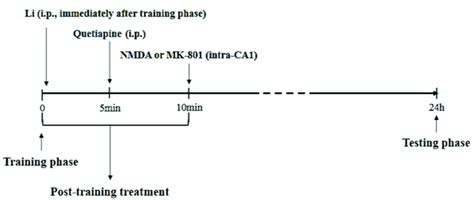 A Schematic Diagram Of Drug Administration In Male Wistar Rats Download Scientific Diagram