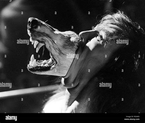 Original Film Title The Company Of Wolves English Title The Company