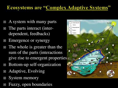 Complex Adaptive Systems