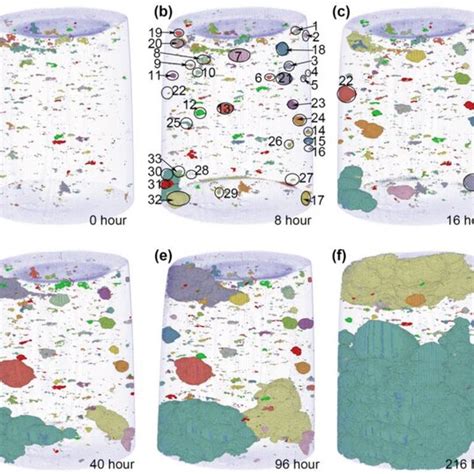 3d Pore Clusters And Pits Of The Mid‐density 316l Ss Specimen A Prior Download Scientific