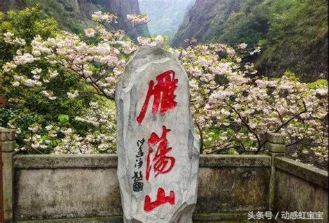 旅遊去雁盪山 楠溪江來一場說走就走的旅行 每日頭條