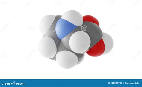 Proline Molecule Proteinogenic Amino Acid Molecular Structure Isolated 3d Model Van Der Waals
