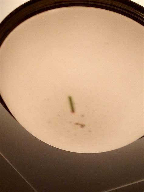 I Wanna Know The Story Behind The Nerf Dart In The Lamp In Osmond Lab R PennStateUniversity