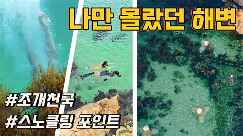 나만 몰랐던 해변 조개천국 스노클링 포인트 오감이 즐거운 바다 여행 YouTube