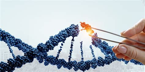Increased Efficiency Precision And Reliability In Dna Editing Trendradars