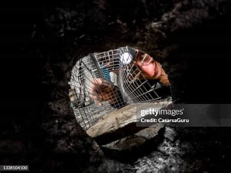 Predator Trap Photos And Premium High Res Pictures Getty Images
