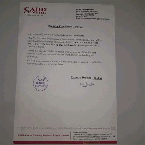 Pythondevelopment Guiprogramming Internshipexperience