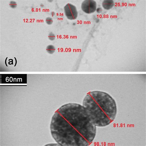 TEM Images Of TiO 2 Nanoparticles Formed Due To Simultaneous Oxidation Download Scientific