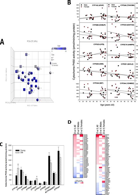 Alteration Of Xenobiotic Metabolizing Enzyme Expression And Activity By Download Scientific