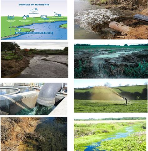 Illustrates Fertilizer In Excessive Amounts Leads To Environmental Download Scientific Diagram