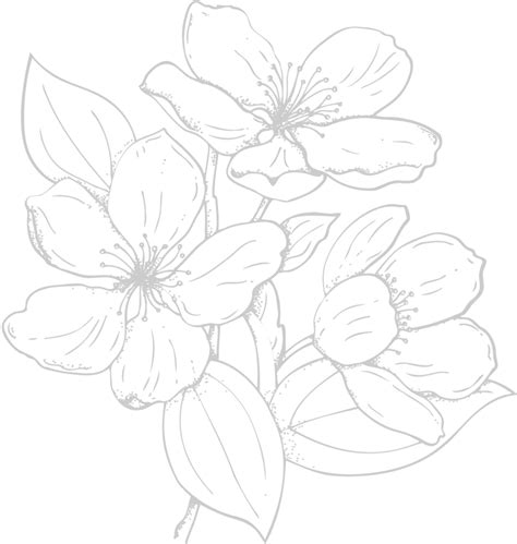 Flor 36630320 Vector En Vecteezy