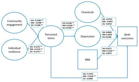 Jelliffe Multi Step Equation Calculator Tessshebaylo