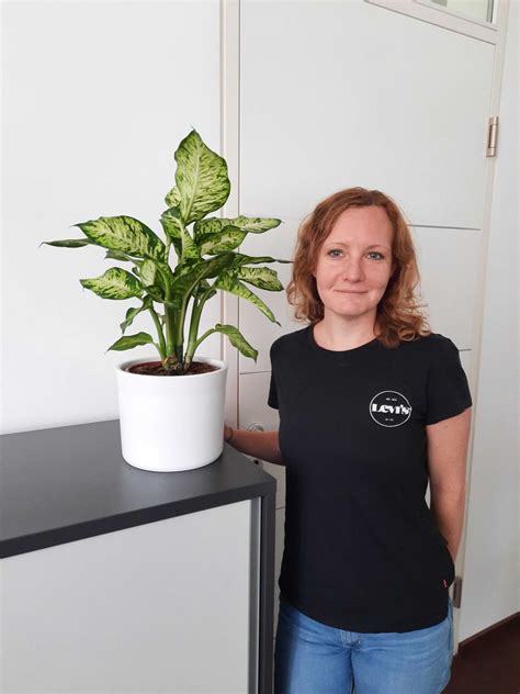 semantic web company swc on linkedin swc plants office team