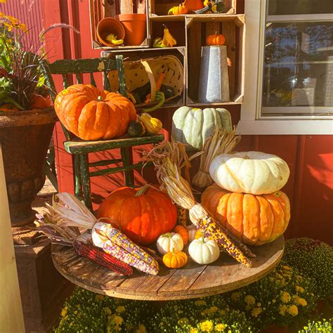 Fall On The Farm Toms Farm Market
