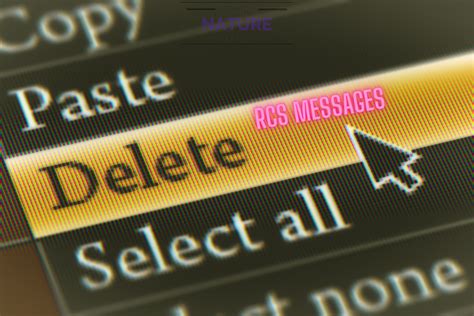 How To Turn Off RCS Messages The Nature Hero