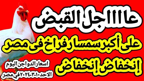 اسعار الفراخ البيضاء اليوم اسعار الدواجن اليوم الاحد ١٠ ٣ ٢٠٢٤ في مصر